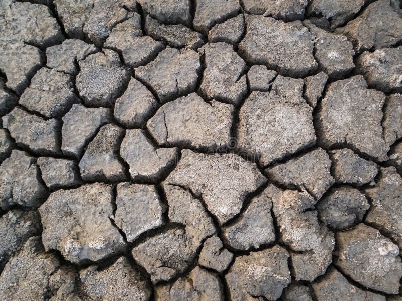 Barren soil stock photo. Image of concept, brown, erosion - 31468630