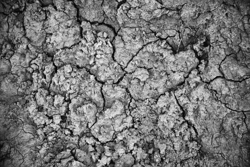 Dry and broken field stock image. Image of form, drought - 90808613