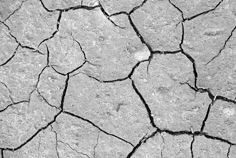 Dry and broken field stock image. Image of drought, cracks - 81424359