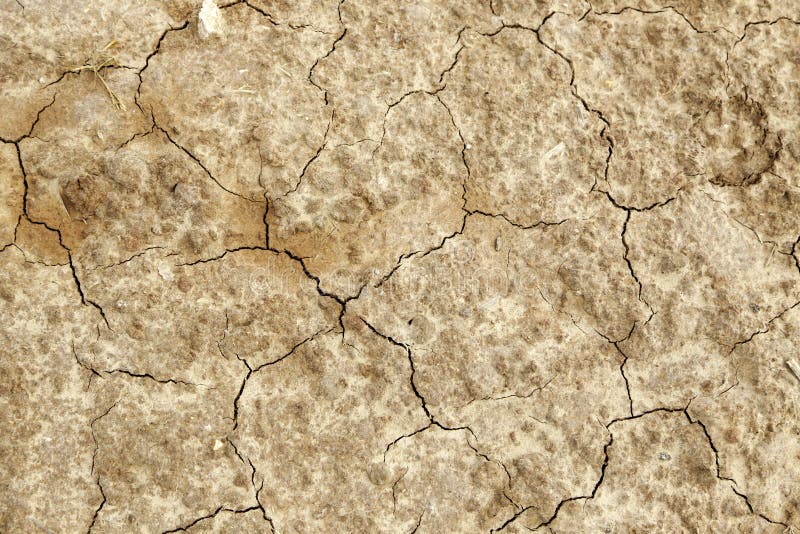 Dry and broken field stock image. Image of dust, desert - 89803389