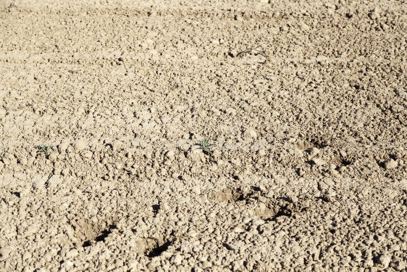 Dry and broken field stock image. Image of exterior, detail - 90944339