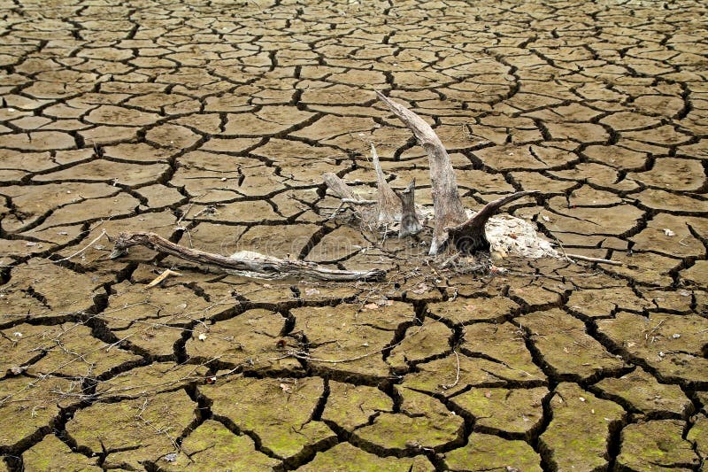 Contraction and Desiccation Cracks in Dry Earth Stock Image - Image of ...