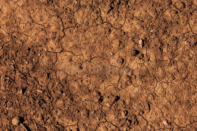 Dry Brown Earth Surface As Background Stock Photo - Image of brown ...