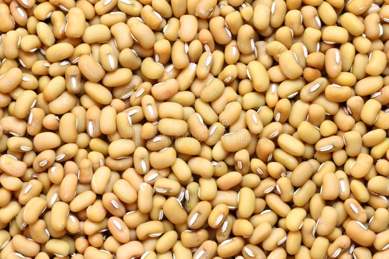 Dry Brown Mung Beans Background or Texture Stock Image - Image of black ...
