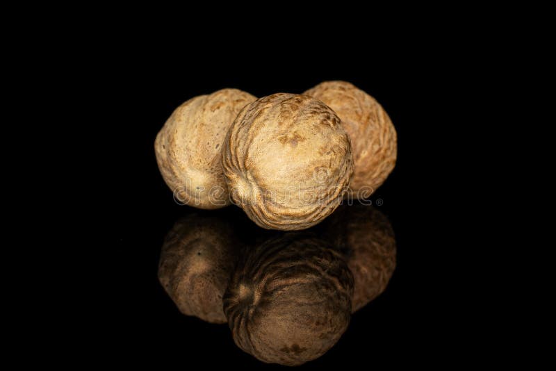 Dry Brown Nutmeg Isolated on Black Glass Stock Image - Image of black ...