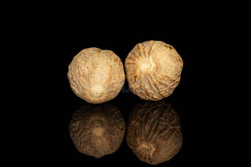 Dry Brown Nutmeg Isolated on Black Glass Stock Photo - Image of ...