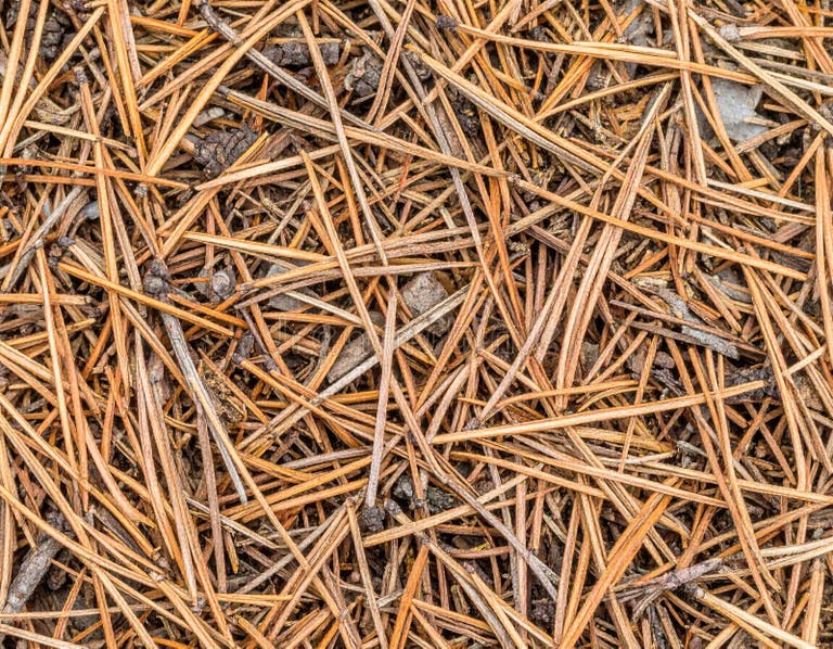 Dry Ground Pattern Stock Illustrations – 19,446 Dry Ground Pattern ...