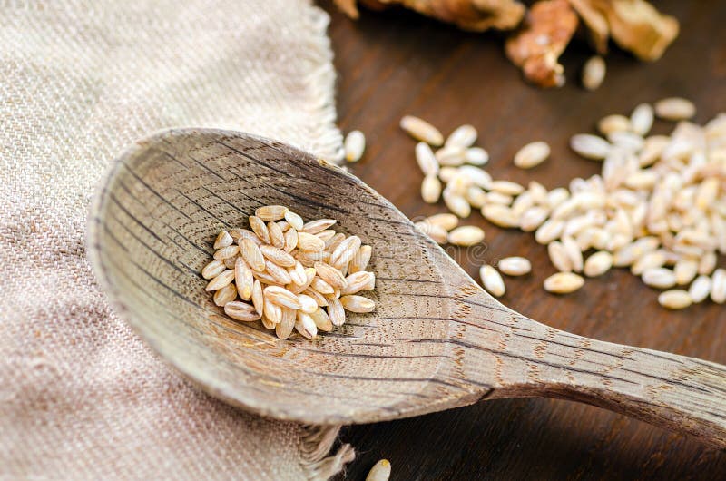 Dry brown rice stock photo. Image of boletus, diet, spoon - 62669312