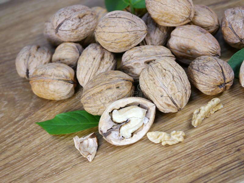 Dry brown walnuts stock photo. Image of vegetarian, kernel - 94167780