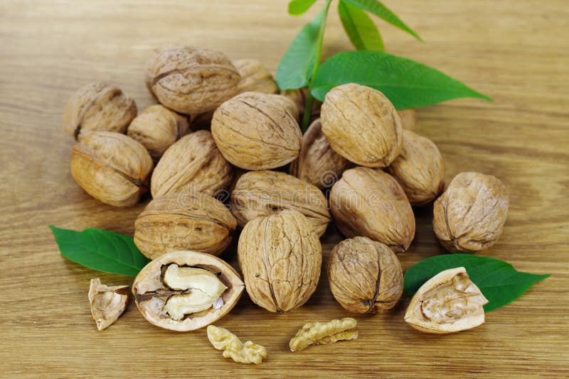 Dry brown walnuts stock photo. Image of vegetarian, kernel - 94167780