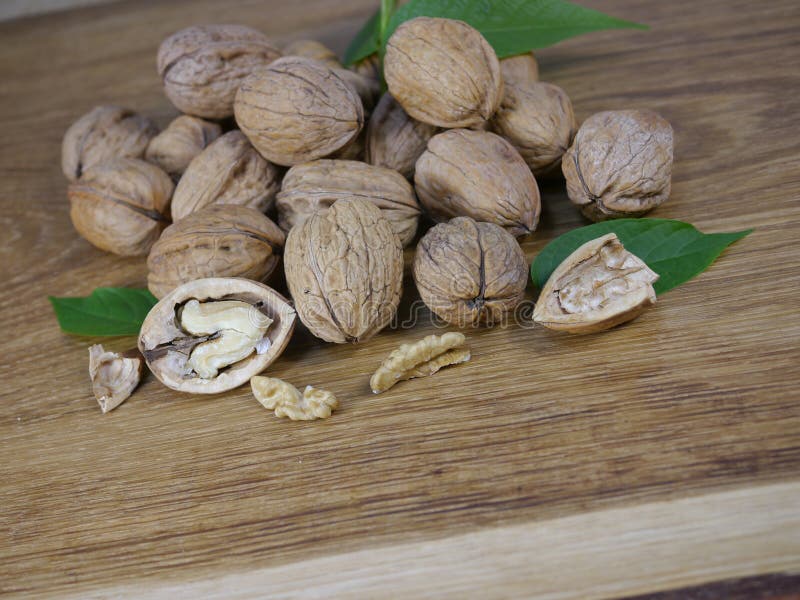 Dry brown walnuts stock photo. Image of vegetarian, kernel - 94167780