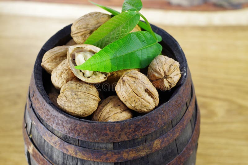 Dry brown walnuts stock image. Image of vegetarian, leaf - 94167843