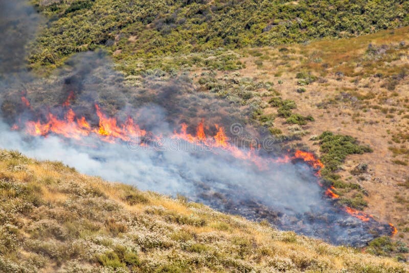 Winchester, CA USA - June 14, 2020: Cal Fire Aircraft Drops Fire ...