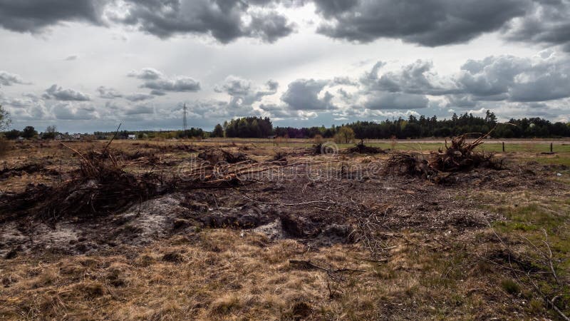 Dry and burned field stock image. Image of country, agriculture - 183826261