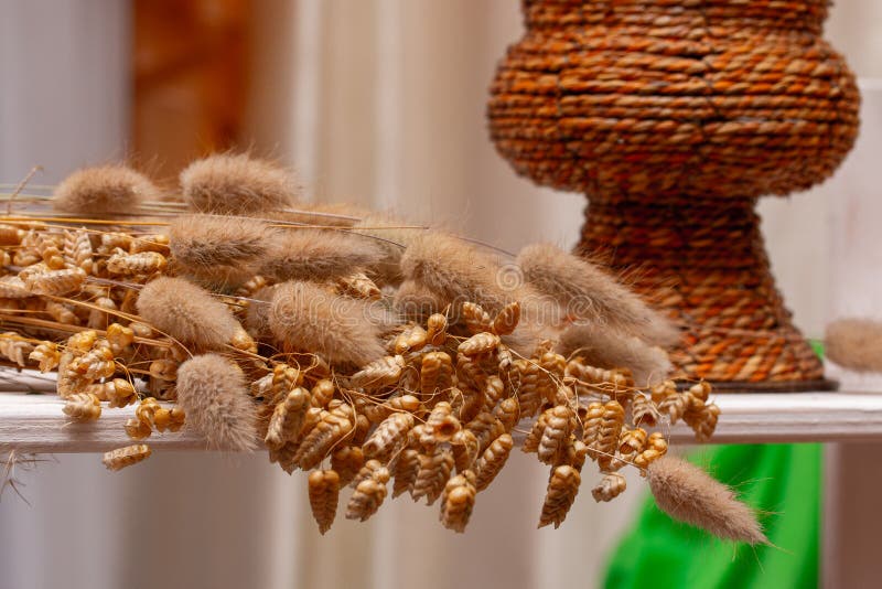 Dry Cane Can Be a Detail in Design Stock Photo - Image of detail ...