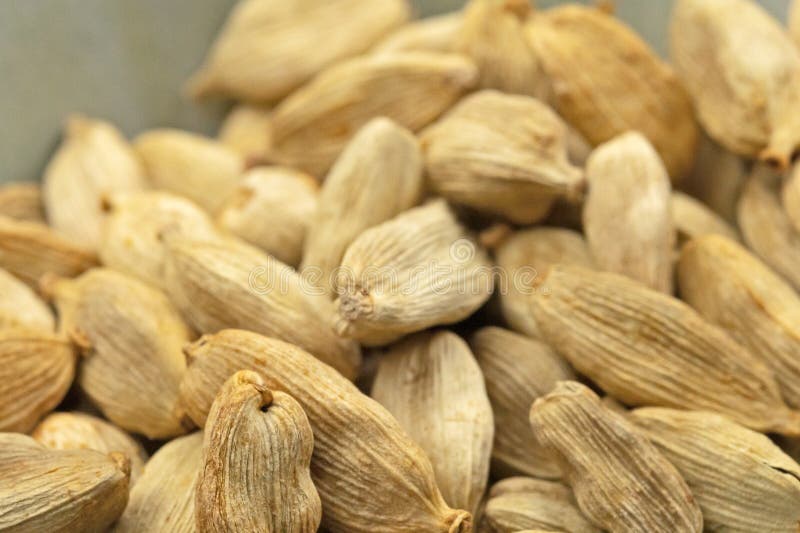 Dry cardamom close up stock image. Image of macro, asian - 219278901