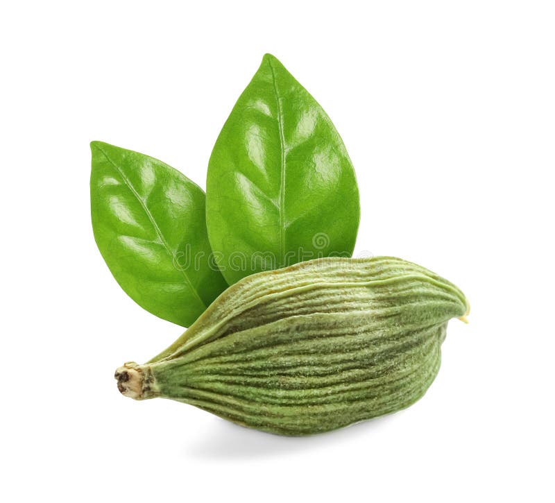 Dry Cardamom Pod and Green Leaves on White Background Stock Image ...