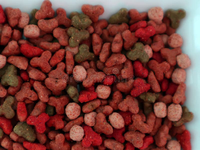 Dry Cat Food. Dry Cat Food. the Texture of Dry Food. Macro. Stock Image ...