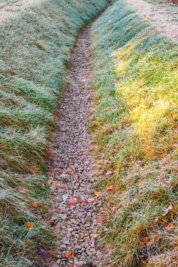 Dry Channel Bed with a Rocky Bottom Stock Photo - Image of meander ...
