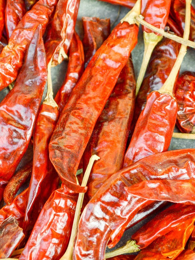 Dry chili stock image. Image of spicy, pepper, herb, vegetable - 54741419