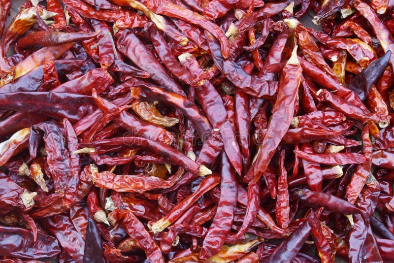 Dry red chilli. stock image. Image of asian, chili, agriculture - 24621007