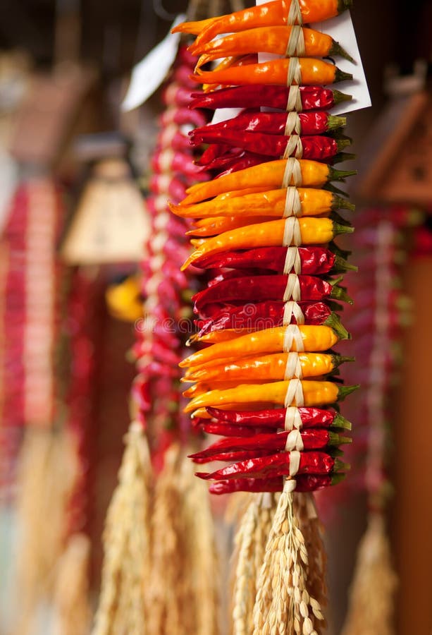 Dry Chili peppers stock image. Image of chili, genus - 23210653