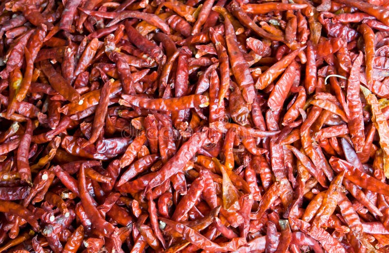Dry chilli stock photo. Image of kitchen, ingredient - 21327306