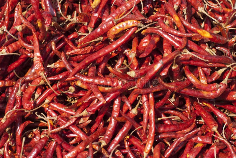 Dry chilli stock photo. Image of chilli, closeup, vegetable - 28106178