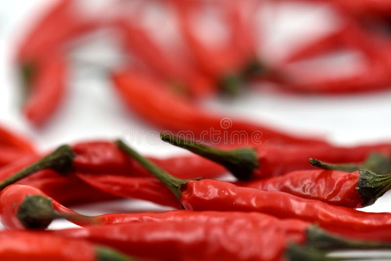 Dry Chilli Peppers Isolated Stock Image - Image of nature, white: 86146323