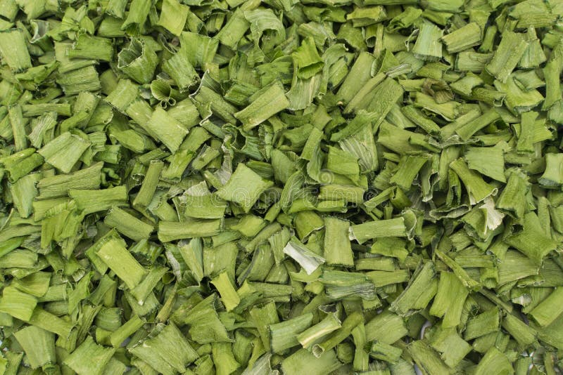 Dry Chive or Dehydrated Green Spring Onion Top View Stock Image - Image ...