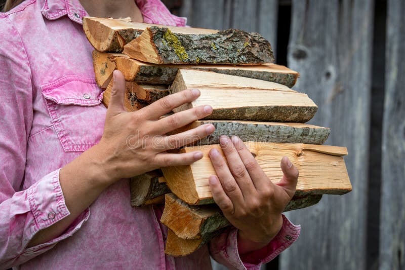Dry Chopped Firewood in the Hands of a Woman Stock Photo - Image of ...