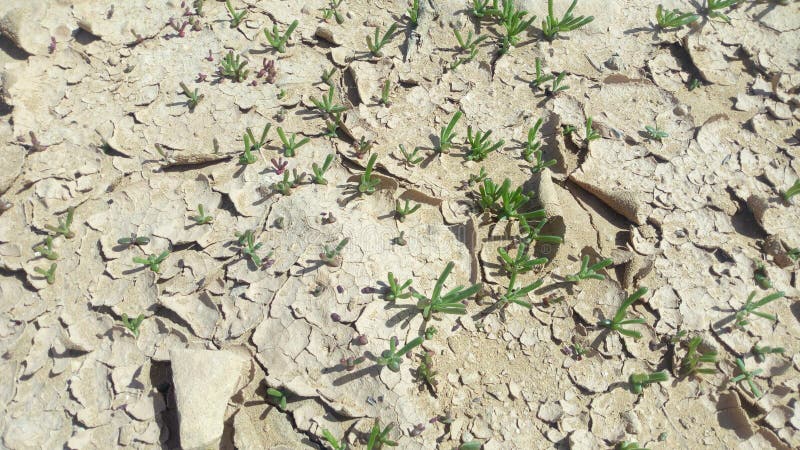 Clay Soil Moist with Light Rain Stock Photo - Image of clay, rain ...