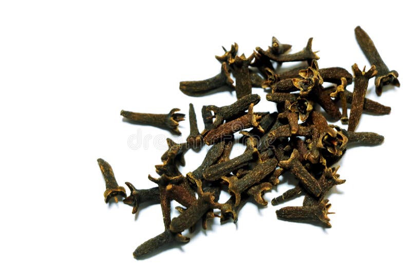 Dry Clove Isolated on White Back Ground Stock Image - Image of brown ...