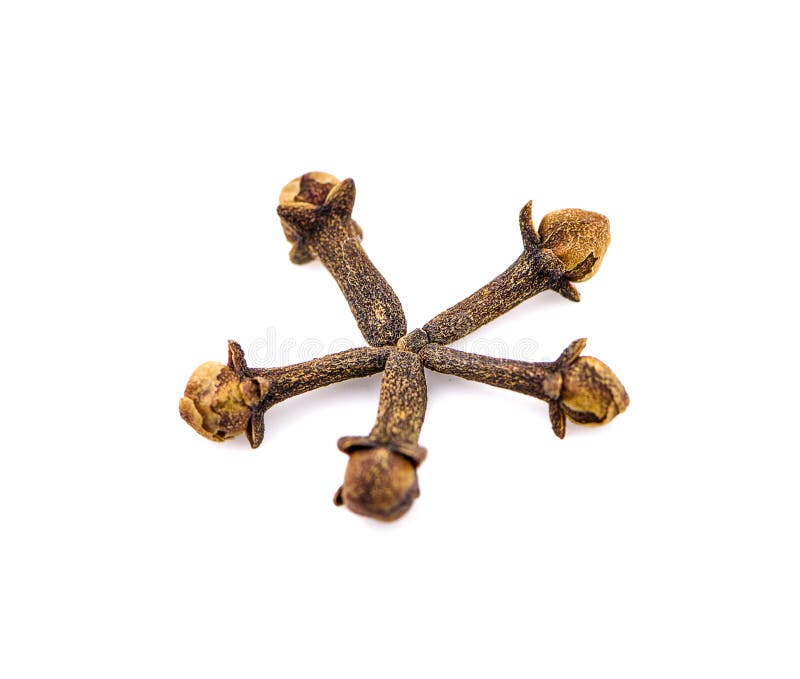 Dry Cloves Isolated on White Background Stock Image - Image of cloves ...