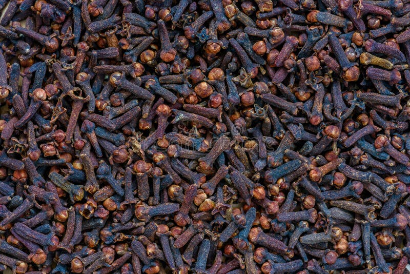 Dry cloves texture stock image. Image of close, aromatherapy - 86288285