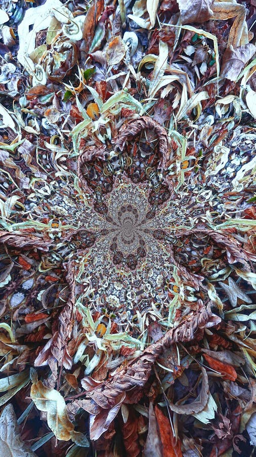 Dry Colored Leaves Nature Backgrounds Abstracts Stock Illustration ...