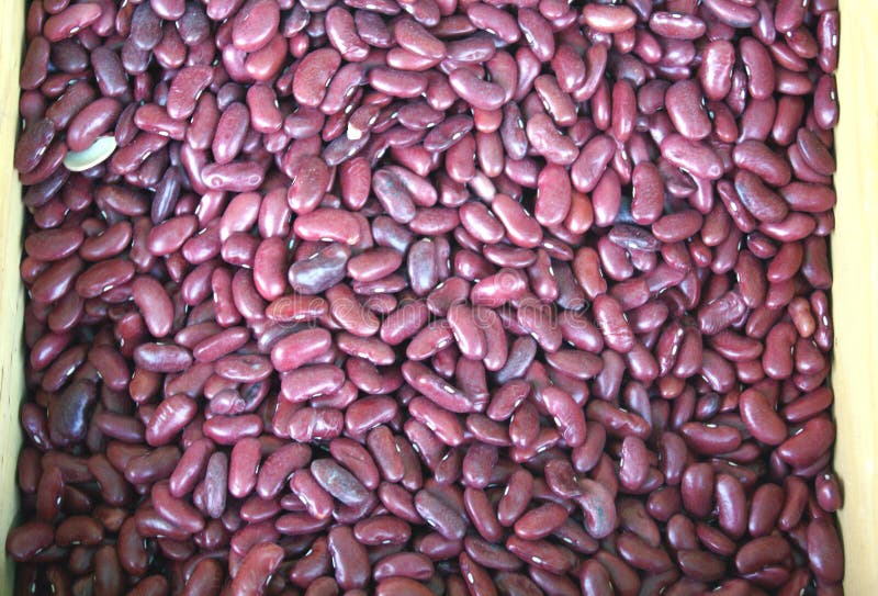Dry common beans stock photo. Image of beans, grocery - 66470668