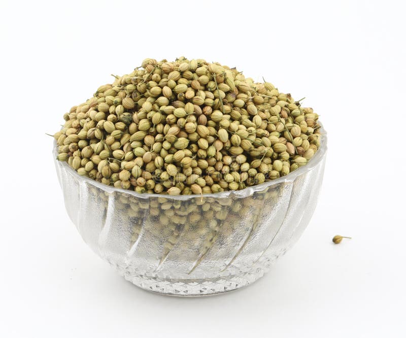 Dry coriander seeds stock photo. Image of flavoring, ingredient - 91006490
