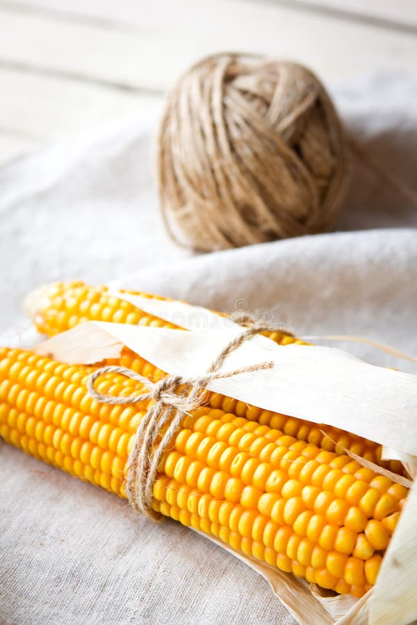 Dry corn cobs stock image. Image of fall, grow, ceramic - 65993907