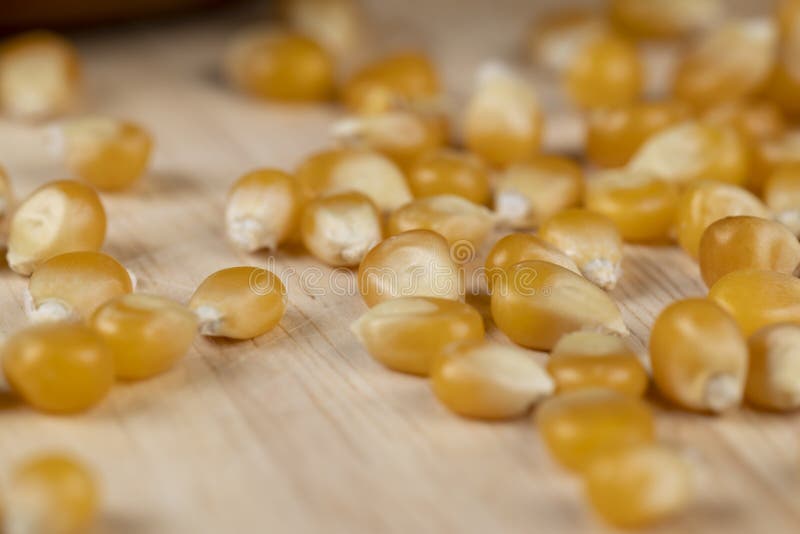 Dry Corn for Cooking and Popcorn Stock Image - Image of corns, eating ...