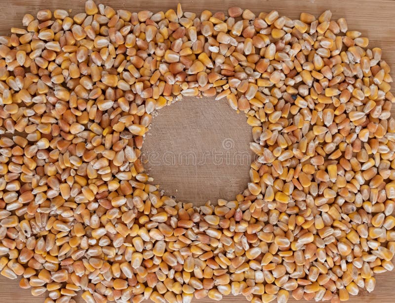 Dry Corn with Empty Space in the Middle Stock Image - Image of healthy ...