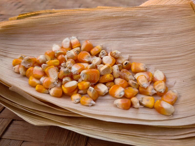 Corn Grains on Dry Corn Husks Stock Image - Image of yellow, citrus ...