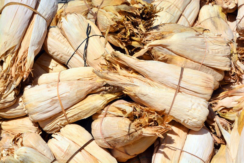 Dry corn leaves stock photo. Image of alternative, cereal - 71987386