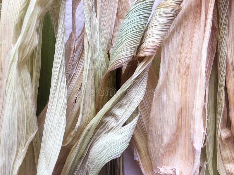 Dry Corn Leaves, Texture of Corn Leaves. Dry Corn Leaves. Close-up Dry ...