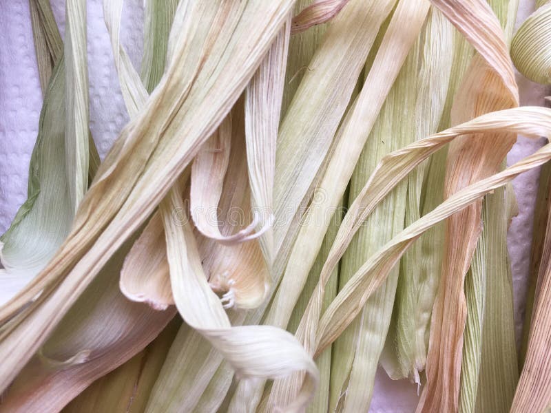 Dry Corn Leaves, Texture of Corn Leaves. Dry Corn Leaves. Close-up Dry ...