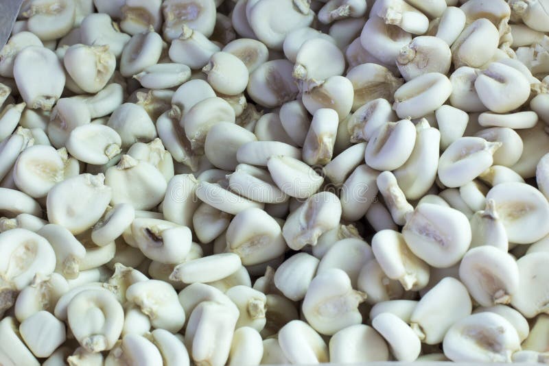 Spanish Name Plate Photos - Free & Royalty-Free Stock Photos from ...