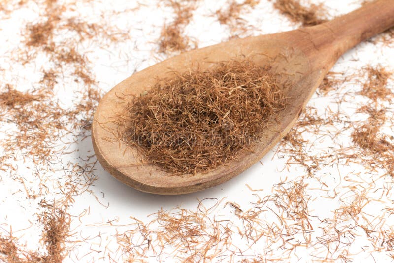 Dry Corn Silk Herb into a Spoon. Stigmata Maydis Stock Image - Image of ...
