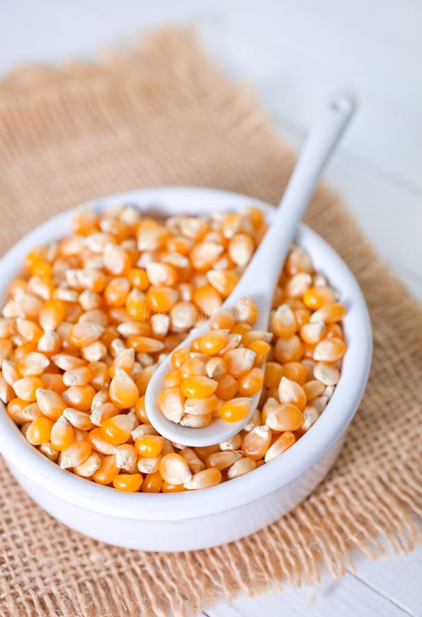 Dry corn stock photo. Image of detail, nutrition, dried - 37423012
