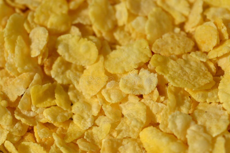 Dry cornflakes stock photo. Image of crispy, closeup - 353906010