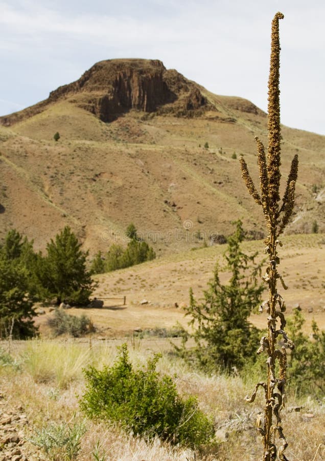 Dry Country Picture. Image: 5442739